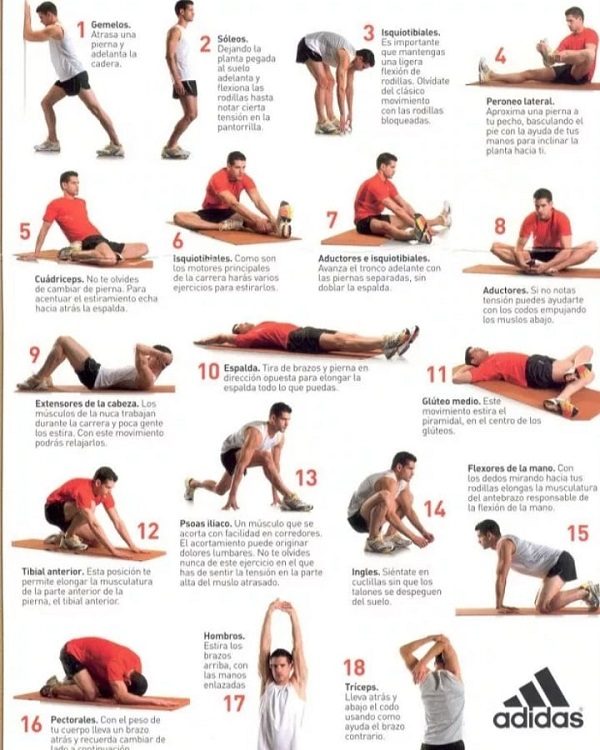 5 recomendaciones para estirar tu cuerpo en casa – TACHIRA NEWS