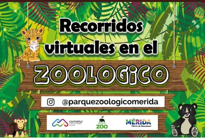 Venezolanos pueden hacer recorridos virtuales por el Zoológico de ...