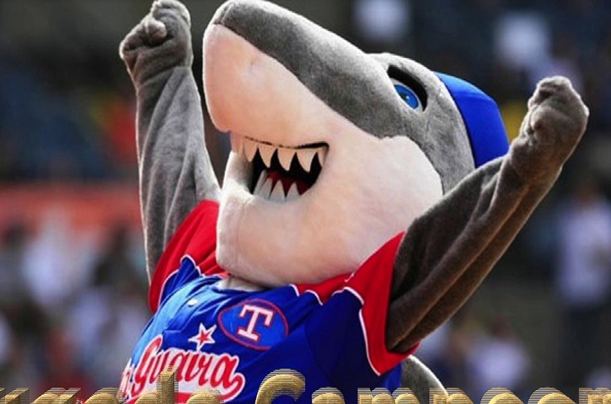 Tiburones de La Guaira a un triunfo del título de campeón - TACHIRA NEWS