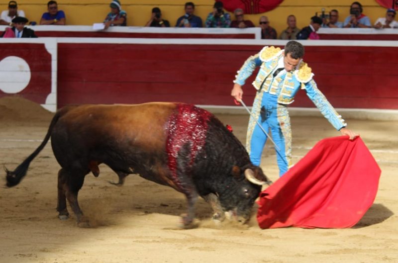 Jesús Enrique Colombo Abre la Puerta Grande en Tovar - TACHIRA NEWS