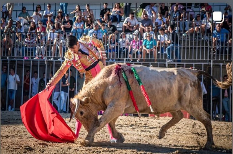 Torero de San Cristóbal triunfa en España - TACHIRA NEWS